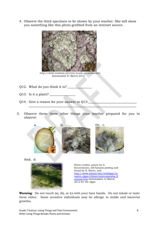 Qtr 2 module 3 other living things besides plants and animals | PDF