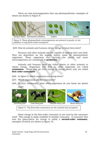 Qtr 2 module 5 interactions | PDF