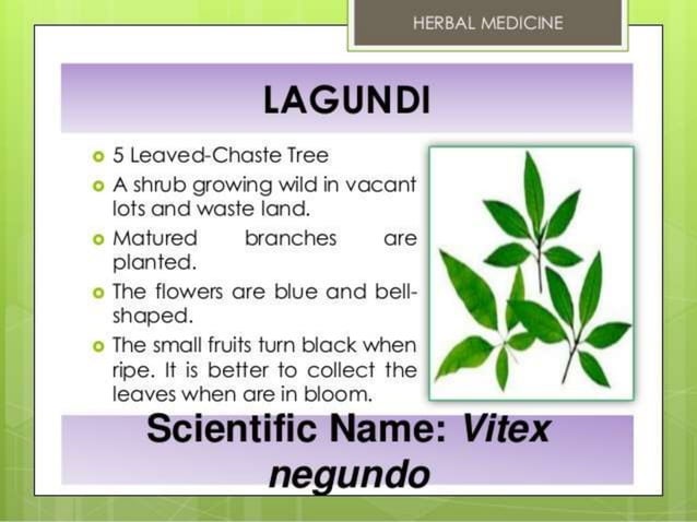 Medical Quackery and Traditional Medicine. | PPTX