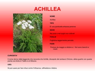 Quaderno Di Campo | PPS | Gardening | Home & Garden