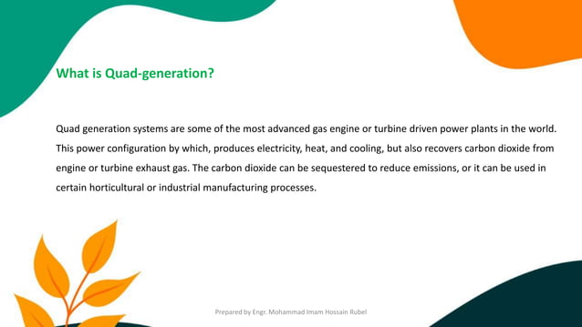 Quad Generation.pptx