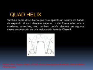 quad helix, caracteristicas, expansiones | PPTX