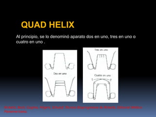 quad helix, caracteristicas, expansiones | PPTX
