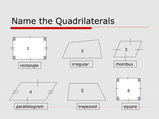Quadilateral | PPT