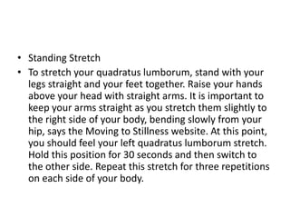 Quadratus lumborum | PPT