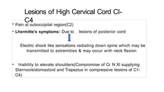 Quadriparesis of human beings due to compression.pptx