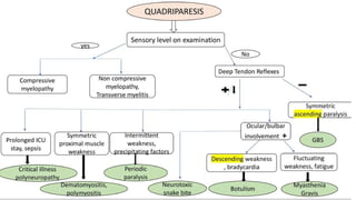 Quadriparesis of human beings due to compression.pptx