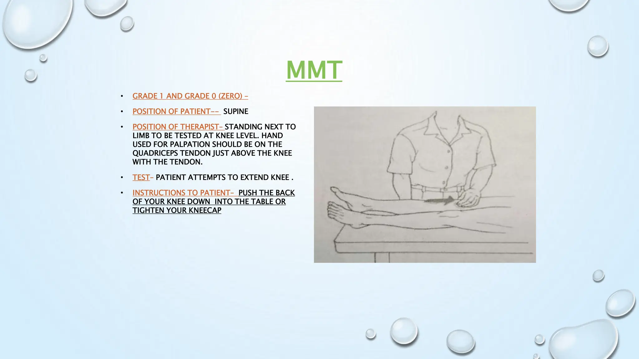 Quadriceps Muscles-.origin, insertion, action and nerve supply of tha ...