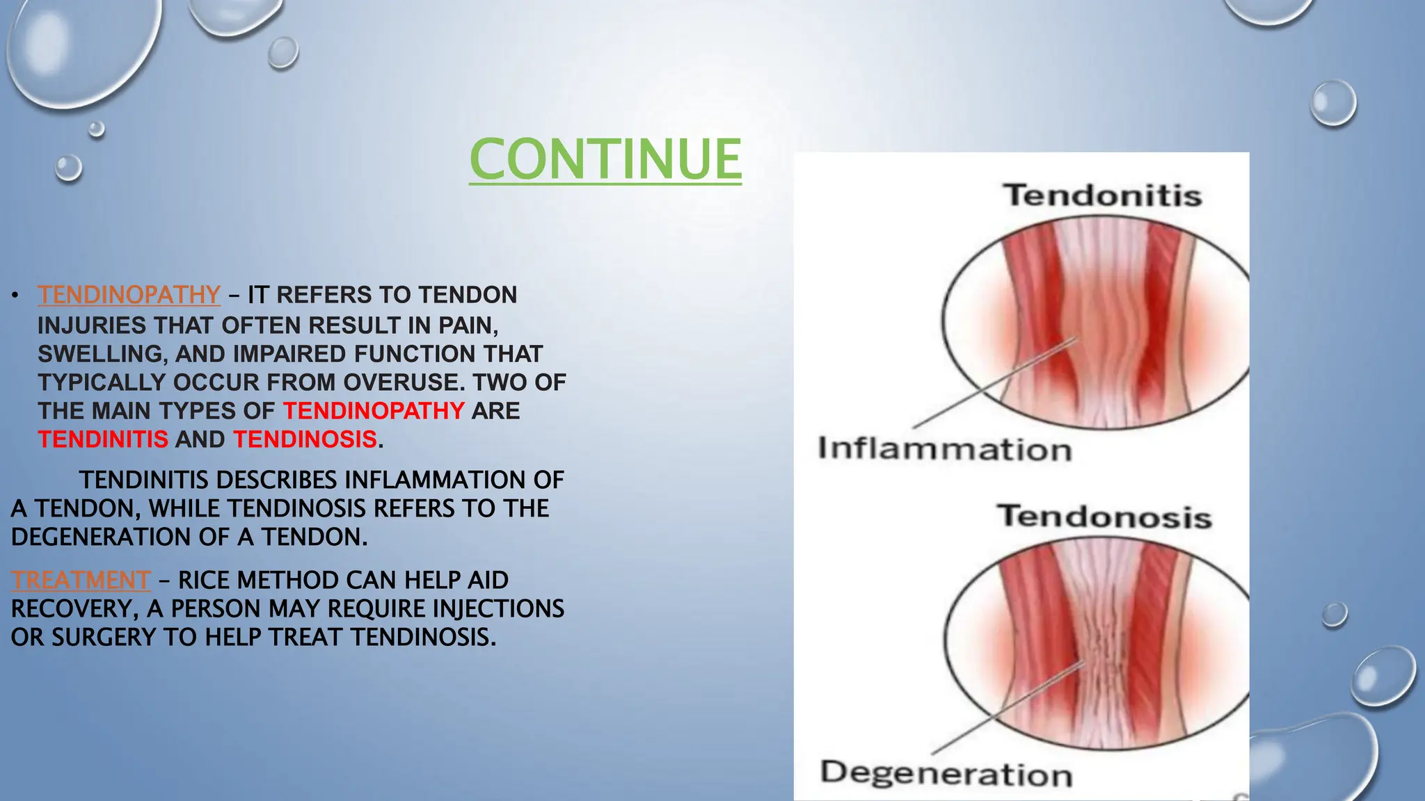 Quadriceps Muscles-.origin, insertion, action and nerve supply of tha ...