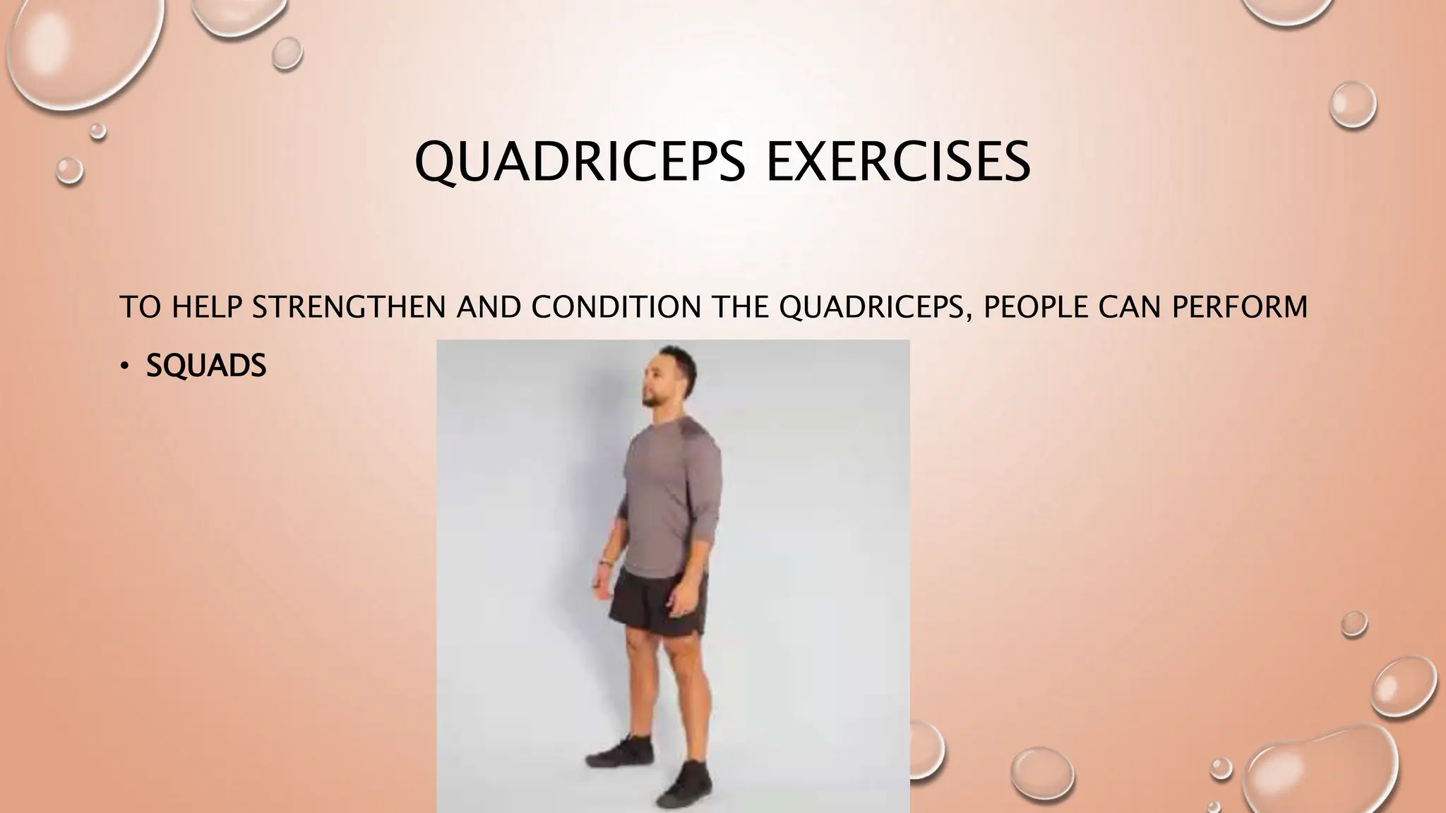 Quadriceps Muscles-.origin, insertion, action and nerve supply of tha ...