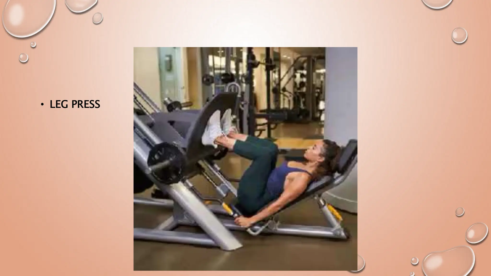 Quadriceps Muscles-.origin, insertion, action and nerve supply of tha ...