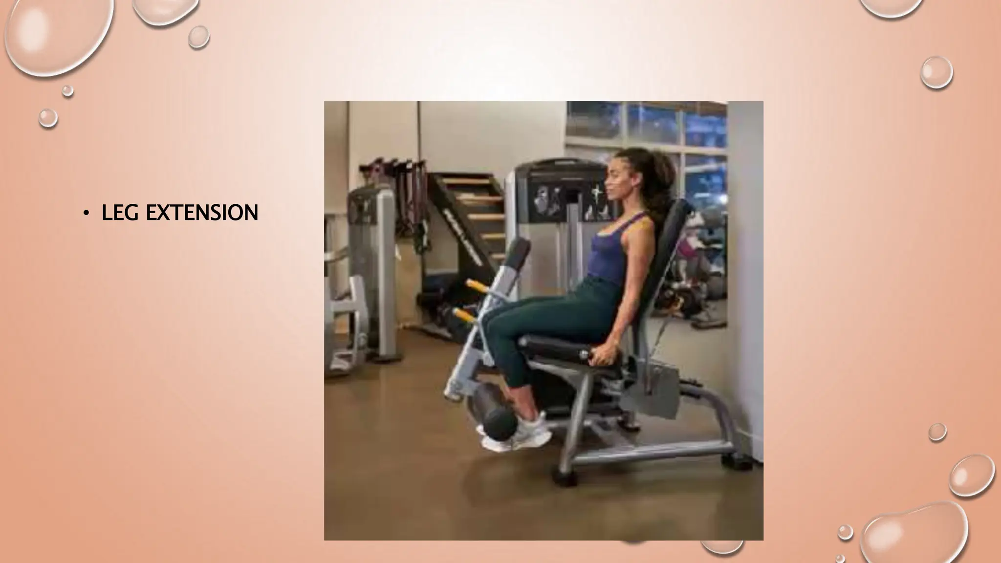 Quadriceps Muscles-.origin, insertion, action and nerve supply of tha ...