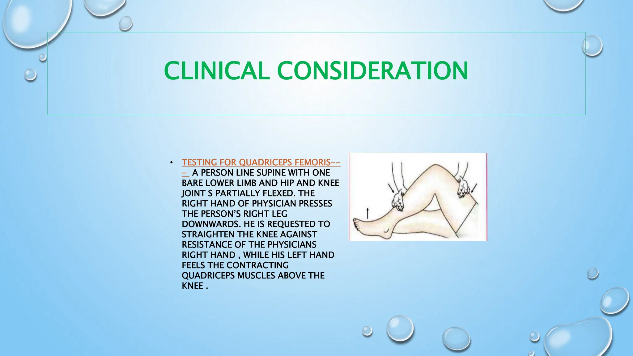 Quadriceps Muscles-.origin, insertion, action and nerve supply of tha ...