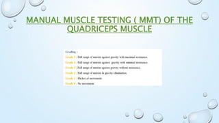 Quadriceps Muscles-.origin, insertion, action and nerve supply of tha ...