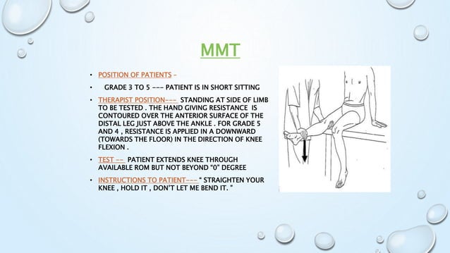 Quadriceps Muscles-.origin, insertion, action and nerve supply of tha ...