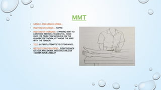Quadriceps Muscles-.origin, insertion, action and nerve supply of tha ...