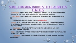 Quadriceps Muscles-.origin, insertion, action and nerve supply of tha ...