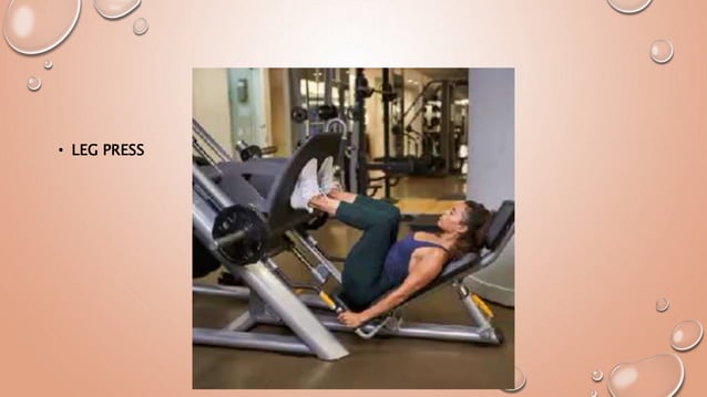 Quadriceps Muscles-.origin, insertion, action and nerve supply of tha ...