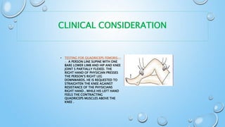 Quadriceps Muscles-.origin, insertion, action and nerve supply of tha ...