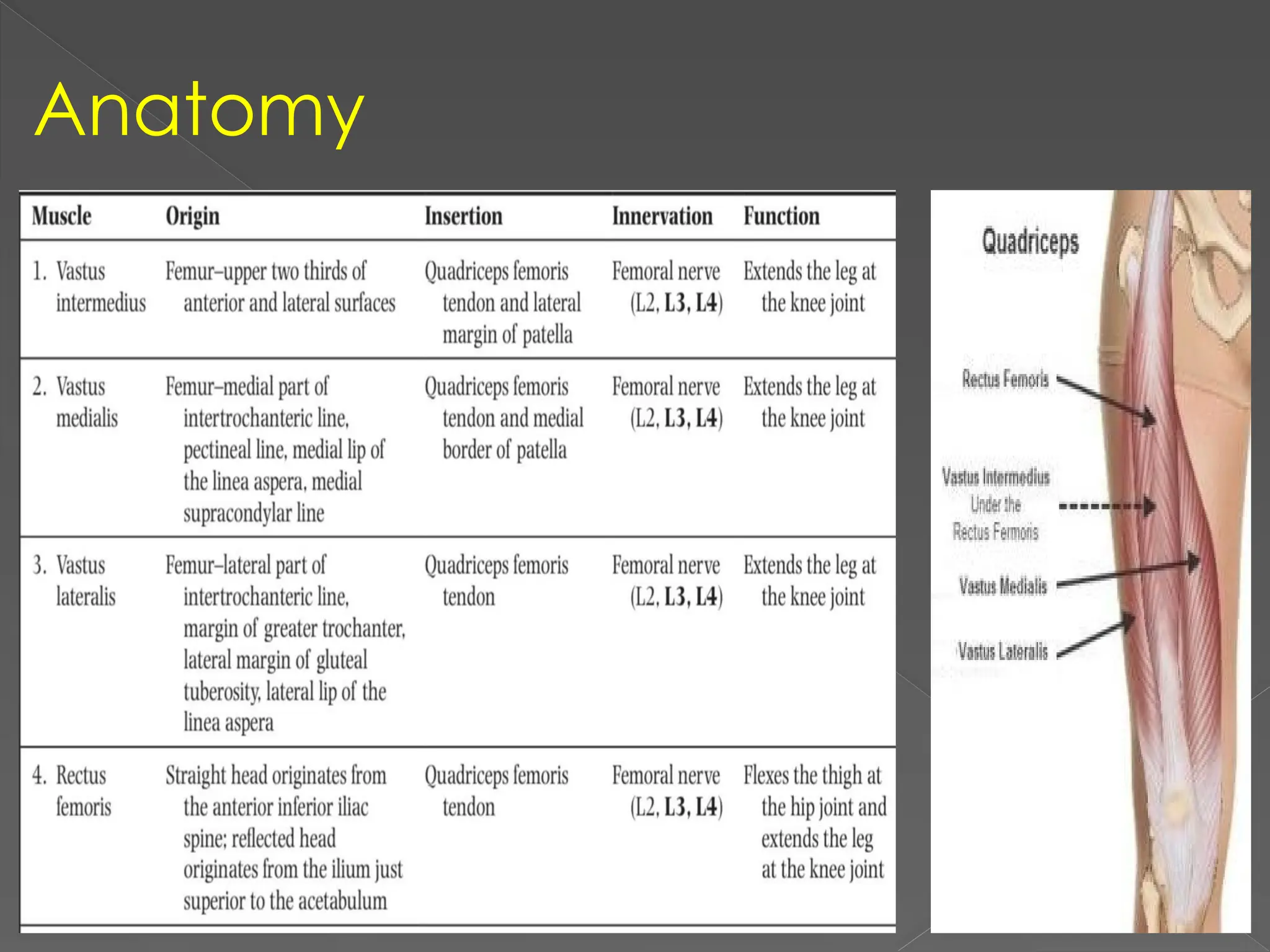 Quadriceps Strain And Physiotherapy Management.pptx