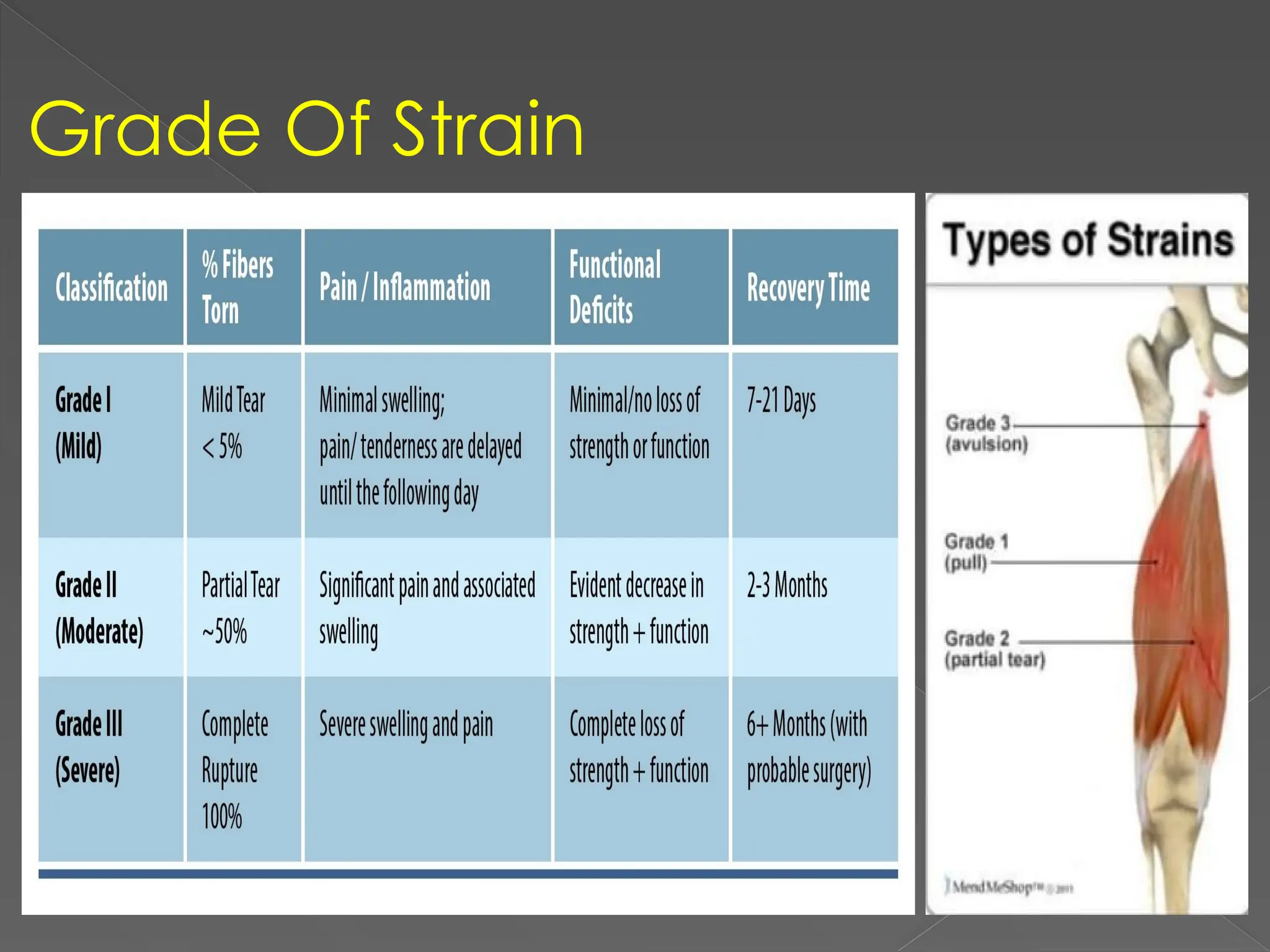 Quadriceps Strain And Physiotherapy Management.pptx