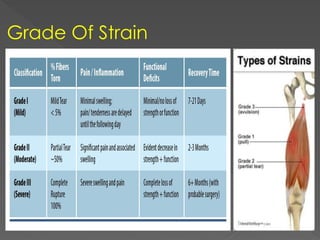 Quadriceps Strain And Physiotherapy Management.pptx