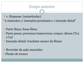 Anatomia de quadril, musculos e articulações. | PPTX