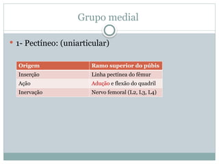 Anatomia de quadril, musculos e articulações. | PPTX