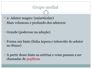 Anatomia de quadril, musculos e articulações. | PPTX