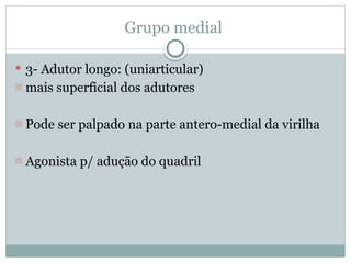 Anatomia de quadril, musculos e articulações. | PPTX