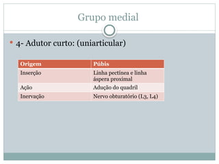 Anatomia de quadril, musculos e articulações. | PPTX