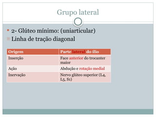 Anatomia de quadril, musculos e articulações. | PPTX