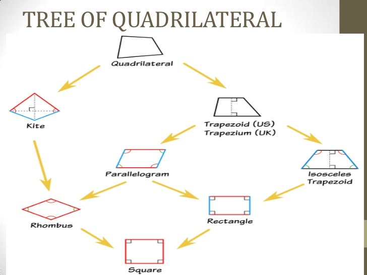 What Is Quadrilateral