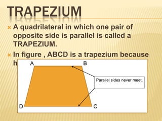 Quadrilateral | PPTX