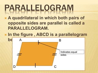 Quadrilateral | PPTX