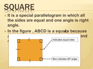 Quadrilateral | PPTX