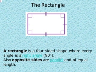 Quadrilateral | PPT