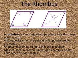 Quadrilateral | PDF