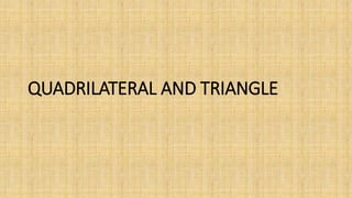 Quadrilateral and triangle | PPTX