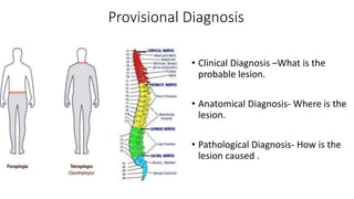 quadriparesis approach -ppt.pptx