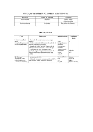 Quadro resumo1 | DOC