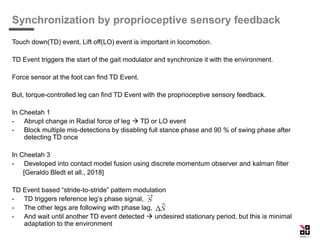 [Paper Review] MIT Cheetah 1: Gait-pattern, trajectory generator | PPT