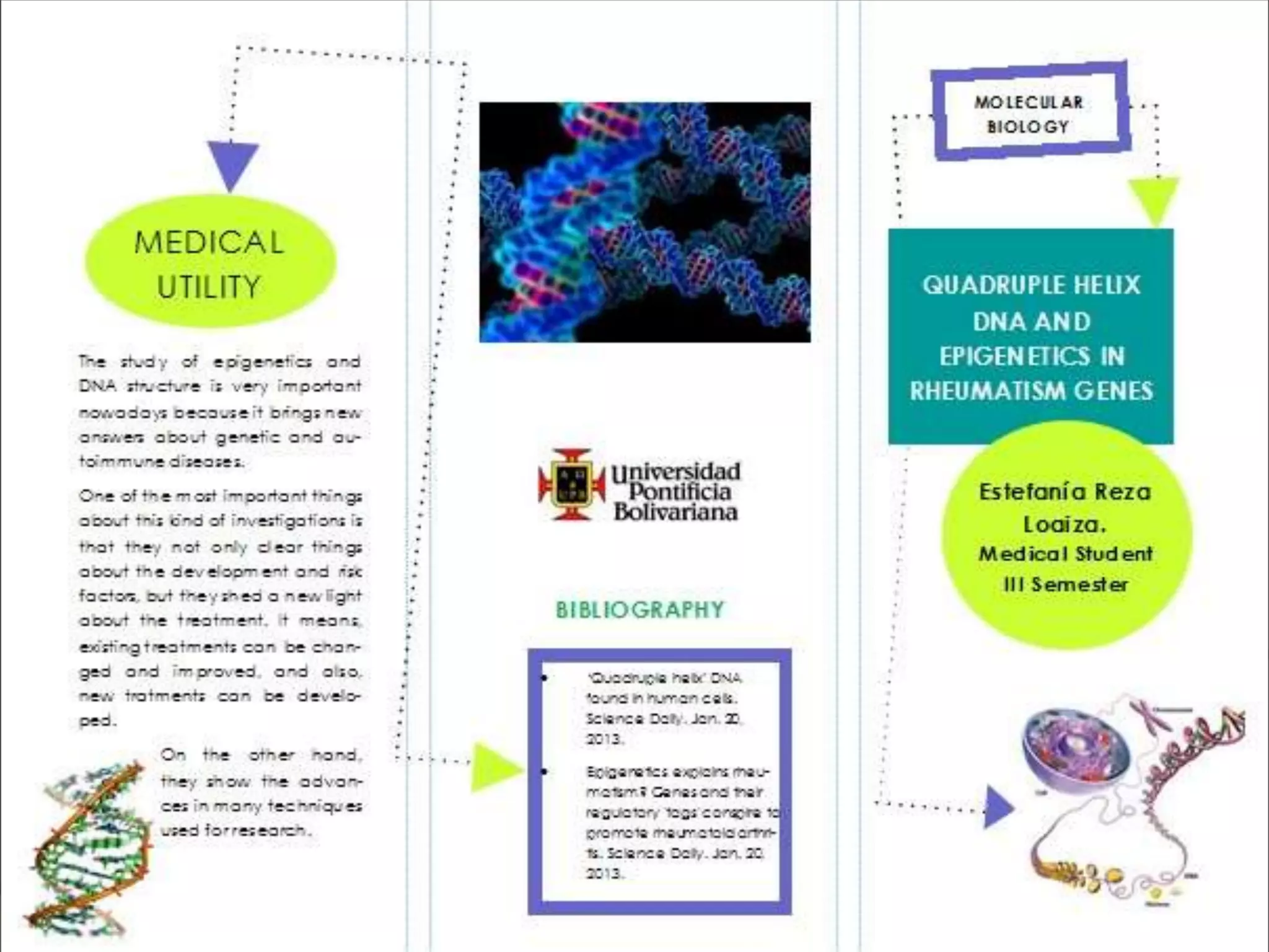 Quadruple helix dna and epigenetics in rheumatism genes | PPTX