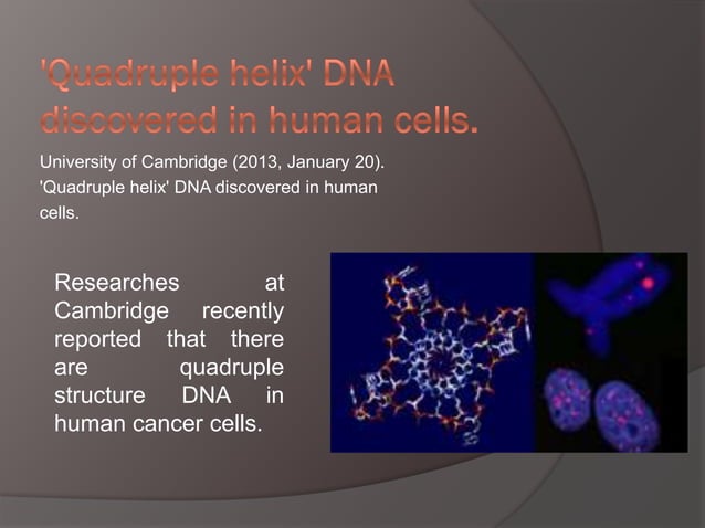 Quadruple helix dna and epigenetics in rheumatism genes | PPTX