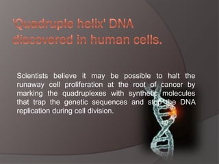Quadruple helix dna and epigenetics in rheumatism genes | PPTX
