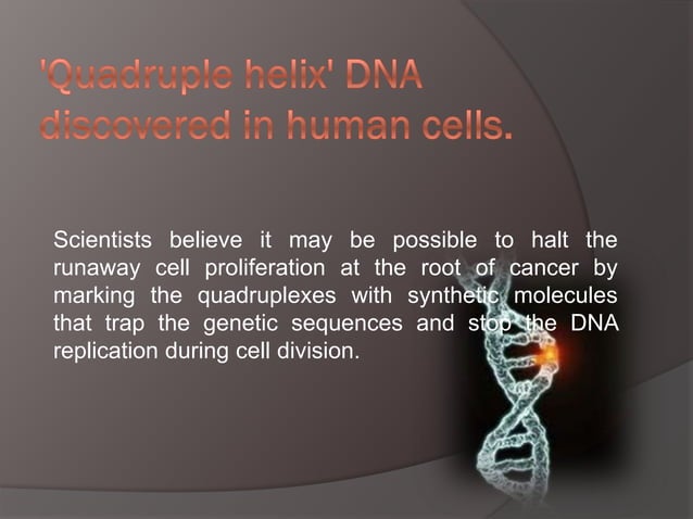 Quadruple helix dna and epigenetics in rheumatism genes | PPTX