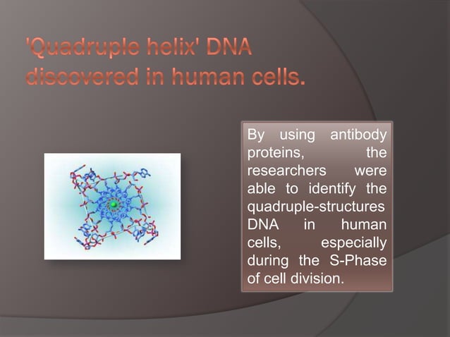 Quadruple helix dna and epigenetics in rheumatism genes | PPTX