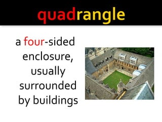 Quad vocabulary words | PPT
