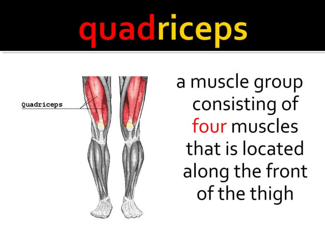 Quad vocabulary words | PPT