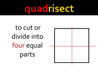 Quad vocabulary words | PPT